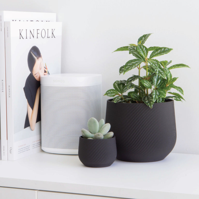 Juniper Planter – Conifer