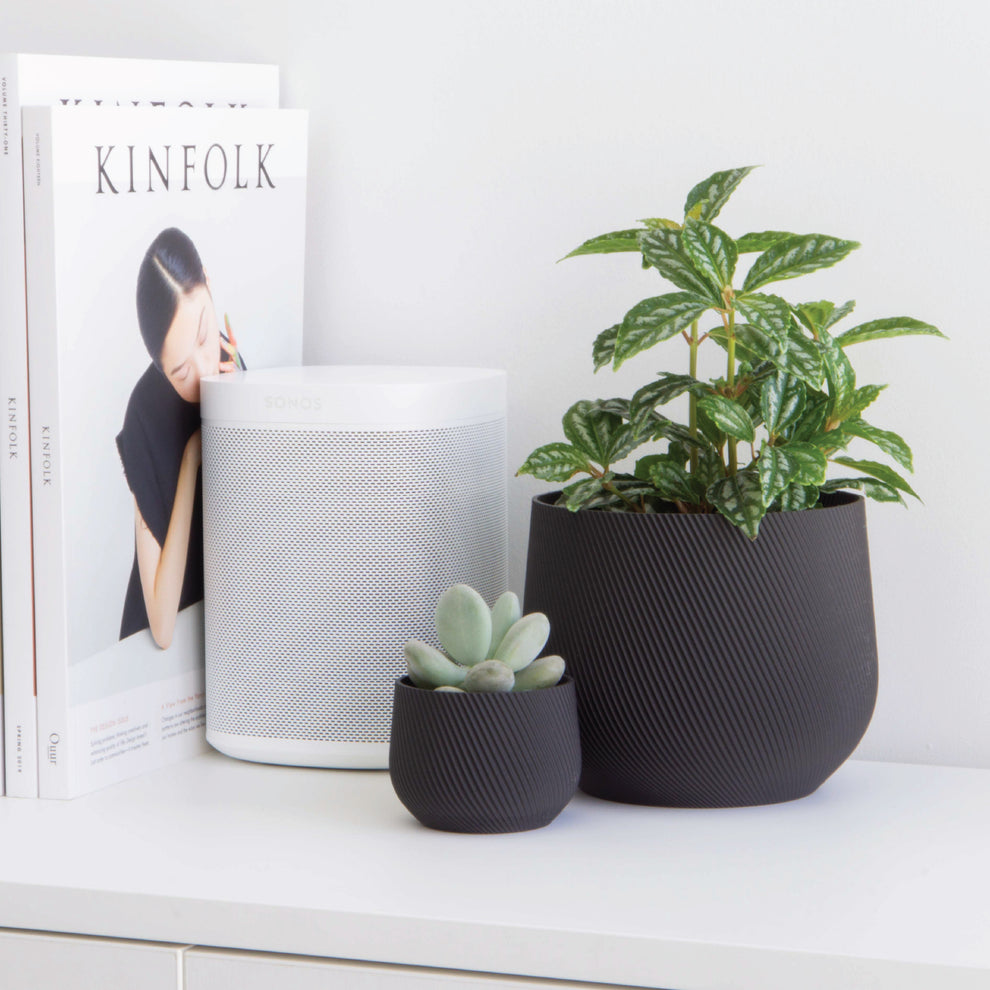 Juniper Planter – Conifer