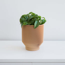 Spruce Planter – Conifer